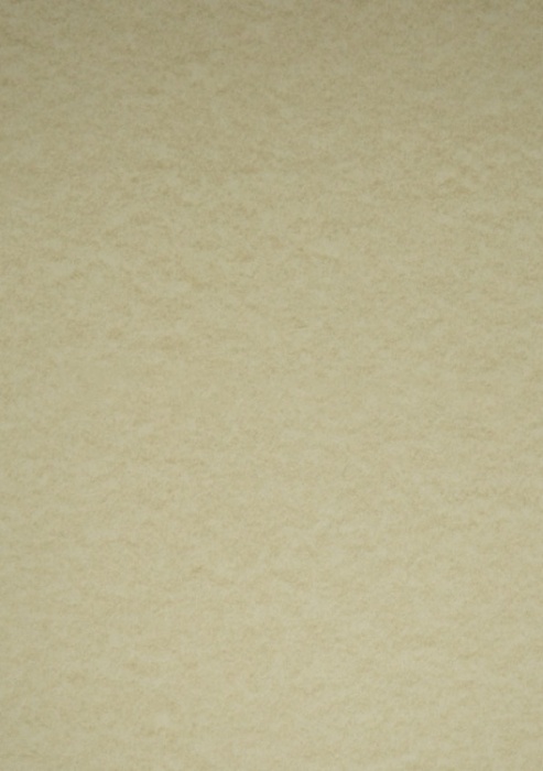 Parchment Paper - 90gsm - Cream - Soho Paper