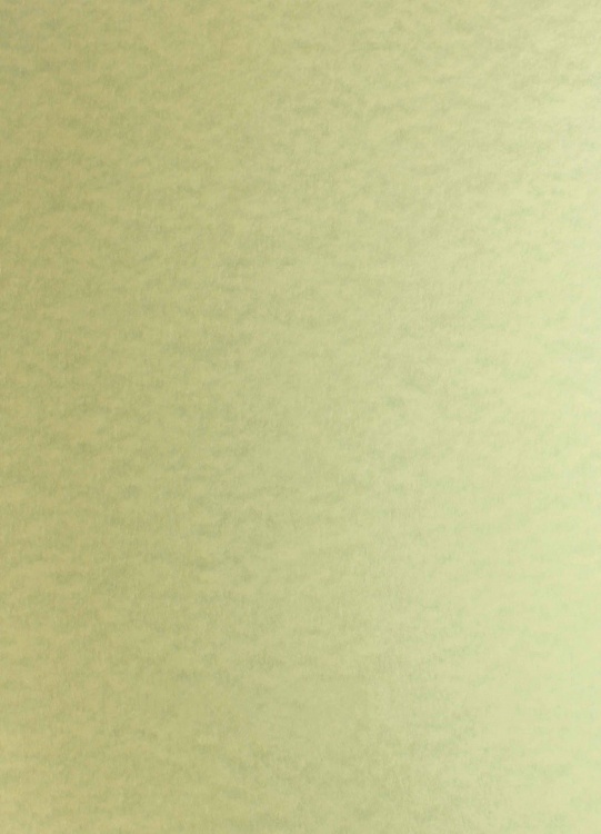 Parchment Paper Green 90gsm - Soho Paper
